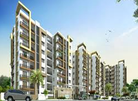 Vertex Siris Signa | Gorle Group